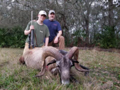 Exotic Game Hunts Florida Exotic Game Hunting Fl